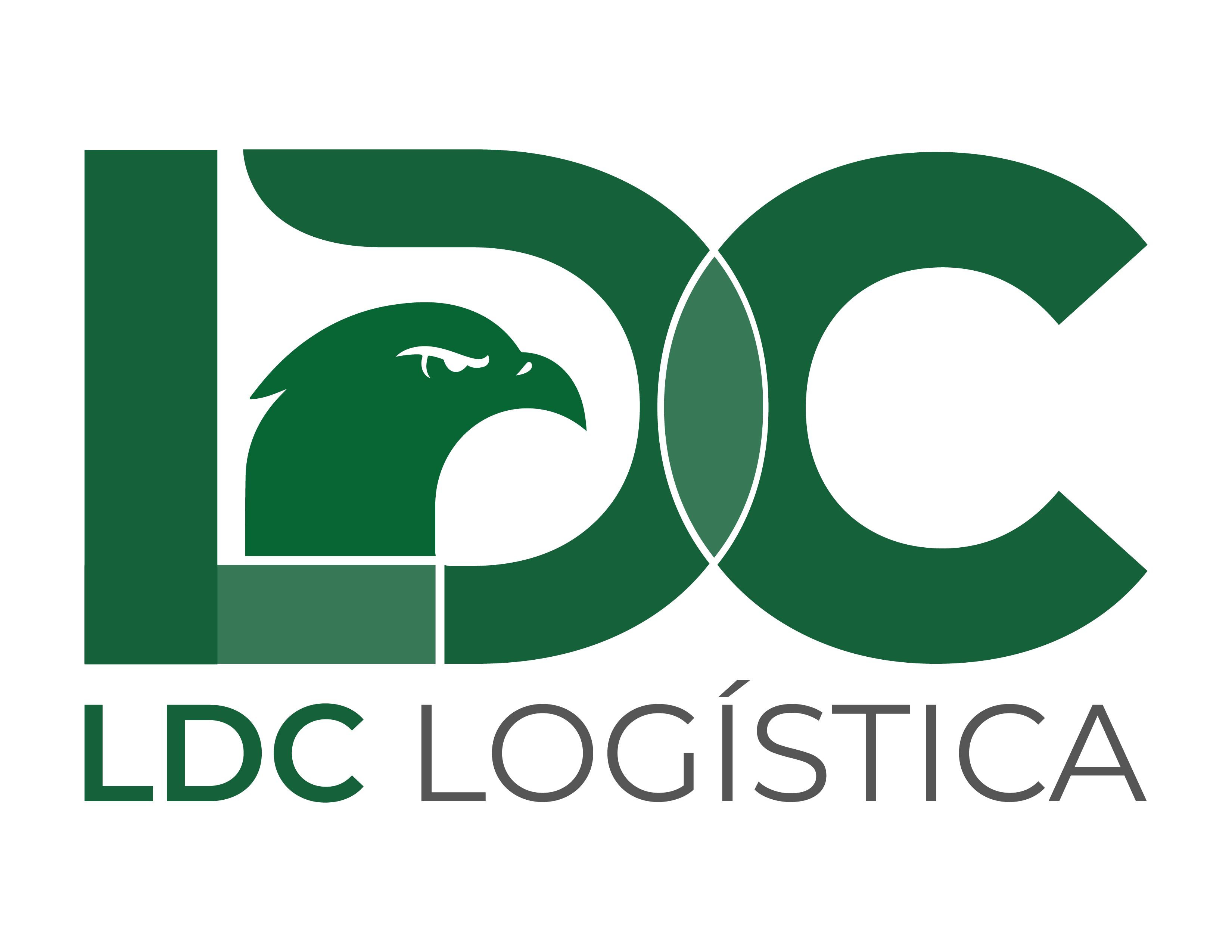 Contactanos | LDC Logisticas